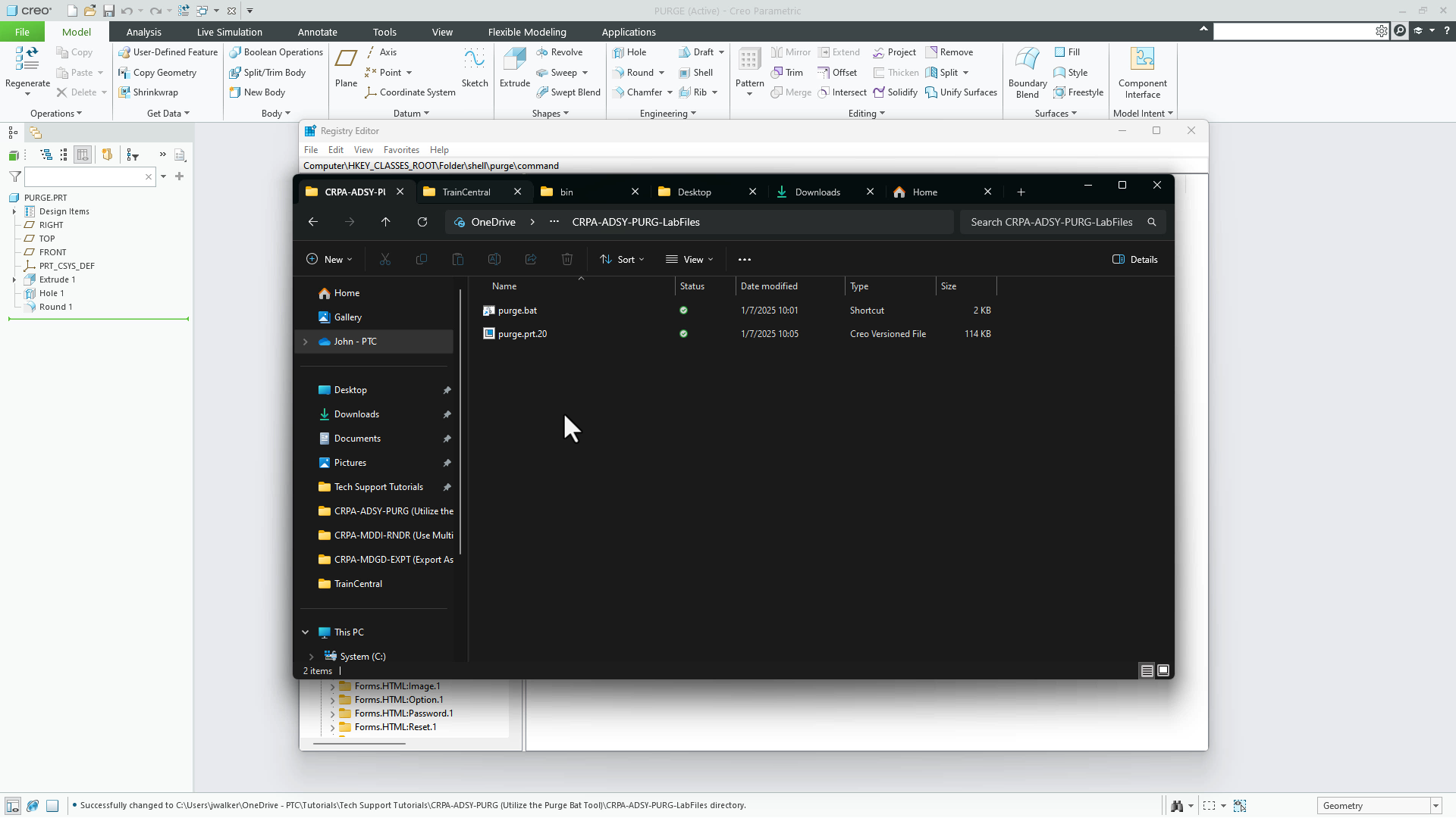 Utilize the Purge.bat Tool | tutorial | PTC Learning Connector